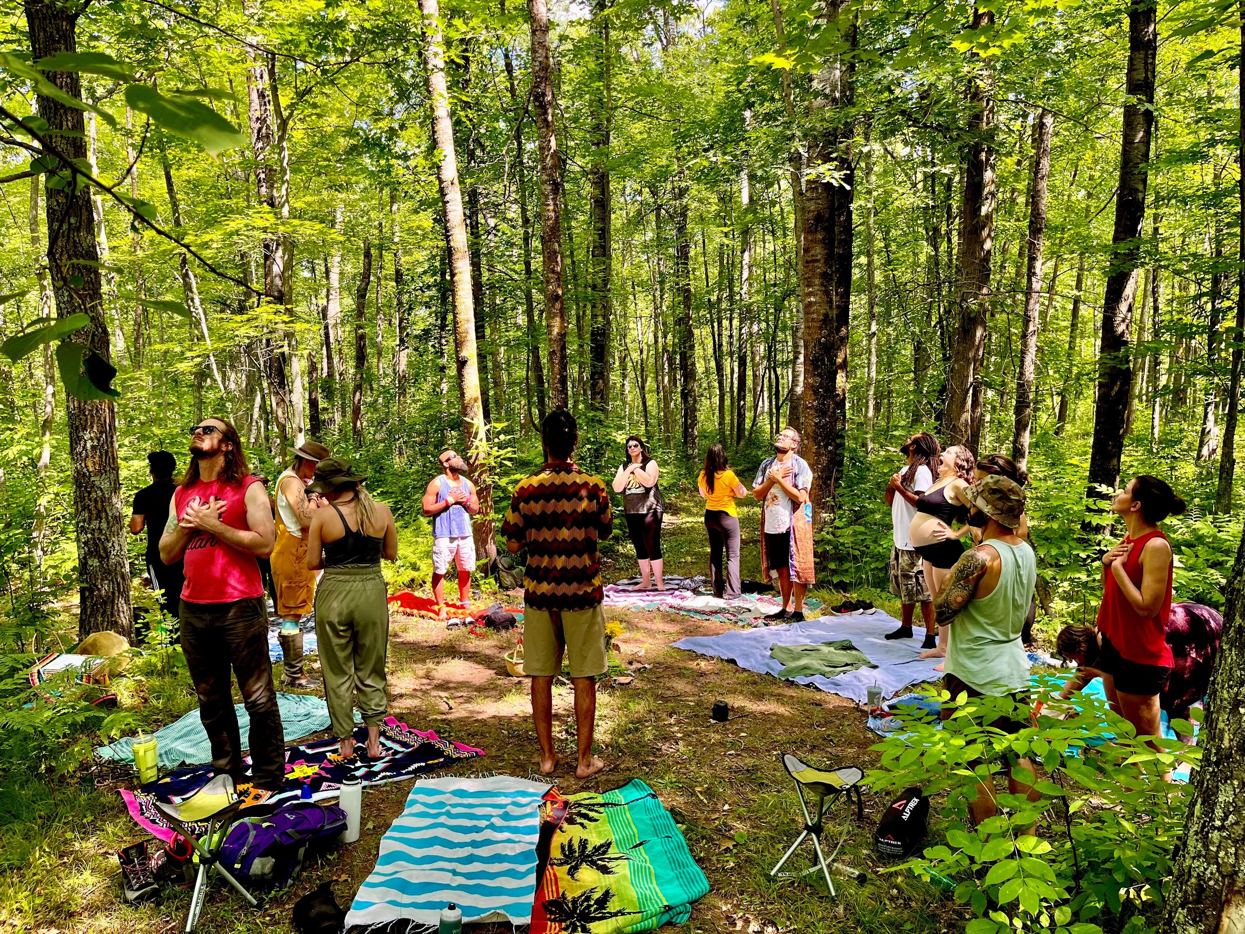 The Healing Power of Forest Bathing - Caracol Glamping